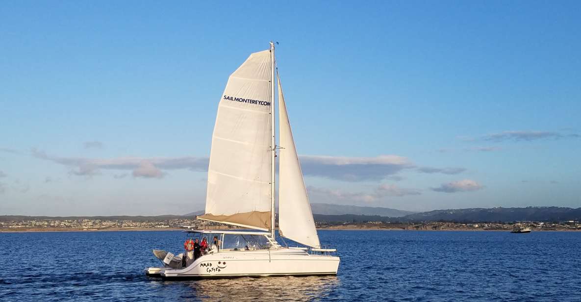 Monterey: Catamaran Sailing Cruise - The Itinerary in Detail