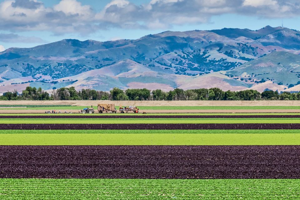Monterey County Salinas Valley Farm Tour - A Detailed Look at the Monterey County Salinas Valley Farm Tour