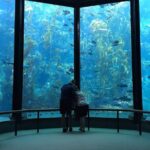 Monterey: Ocean Paradise, Trolley and Walking Tour - Transportation and Group Size