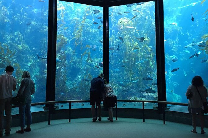 Monterey: Ocean Paradise, Trolley and Walking Tour - Transportation and Group Size
