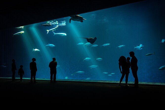 Monterey: Ocean Paradise, Trolley and Walking Tour - The Sum Up