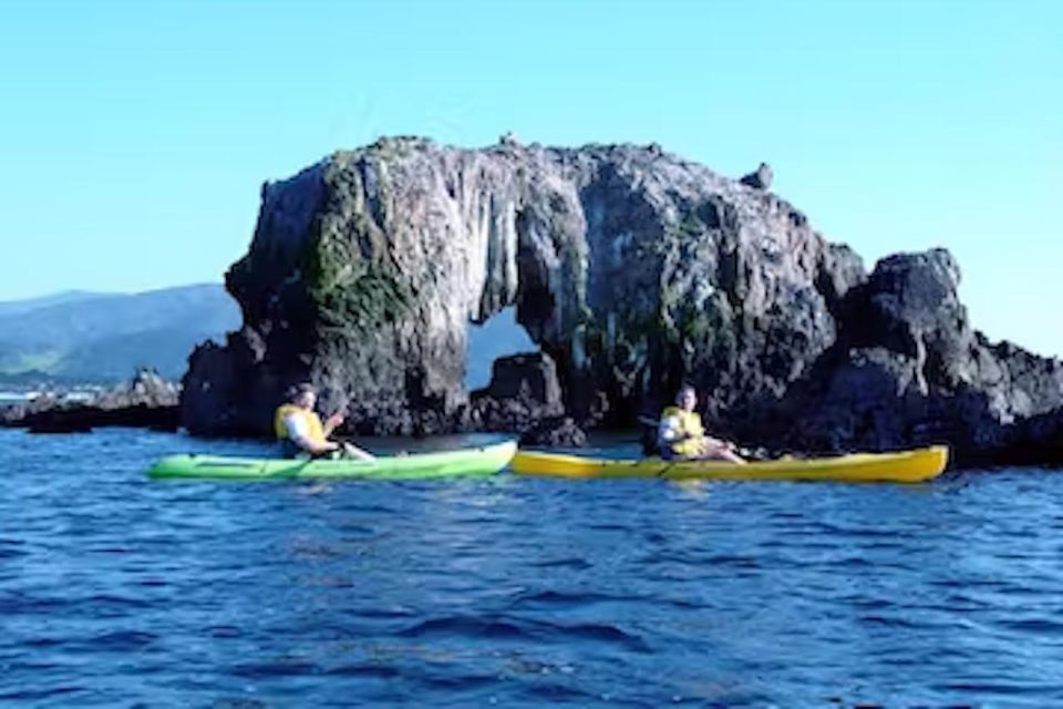 Monterey: Pebble Beach Kayak Tour - An In-Depth Look at the Pebble Beach Kayak Tour