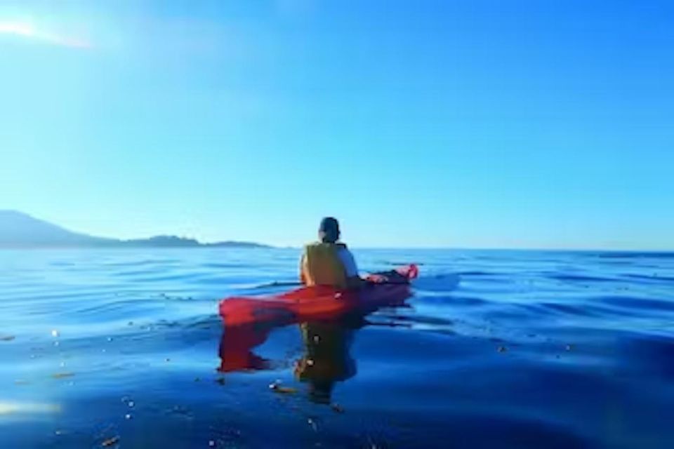 Monterey: Pebble Beach Kayak Tour - Who Should Consider This Tour?
