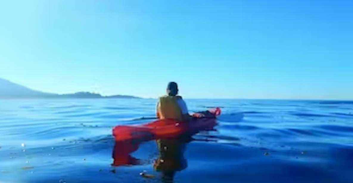Monterey: Pebble Beach Kayak Tour - FAQs