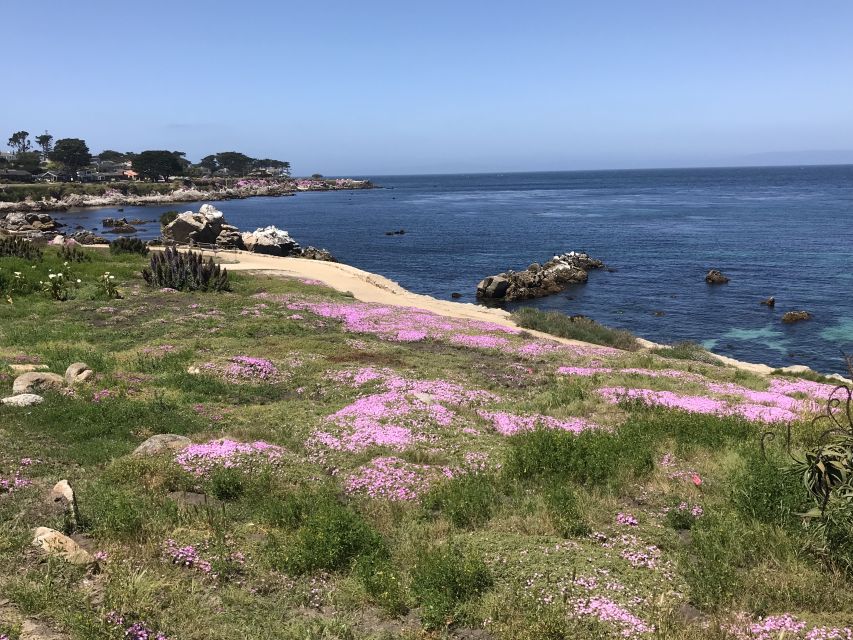 Monterey Peninsula Sightseeing Tour including 17 Mile Drive - Introduction to the Tour