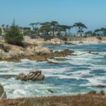 Monterey Peninsula Sightseeing Tour including 17 Mile Drive - What to Expect from the Tour