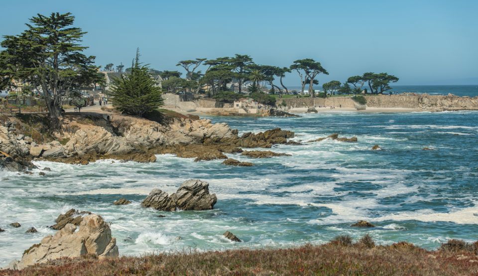 Monterey Peninsula Sightseeing Tour including 17 Mile Drive - What to Expect from the Tour