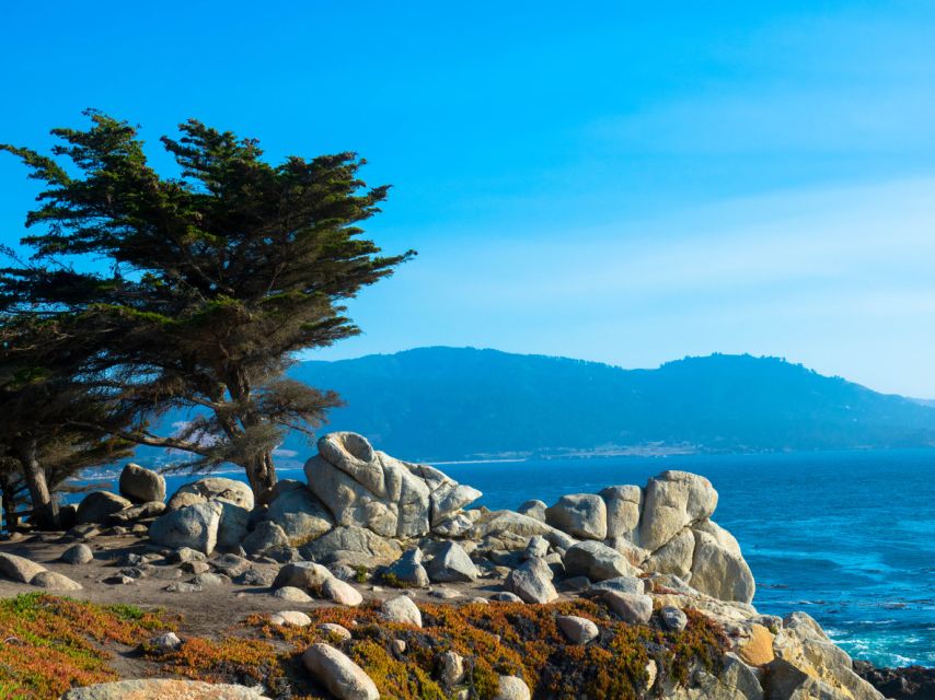 Monterey Peninsula Sightseeing Tour including 17 Mile Drive - The Authentic Touch: Insights from Reviewers