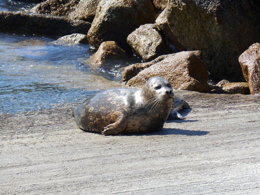 Monterey Peninsula Sightseeing Tour including 17 Mile Drive - The Sum Up