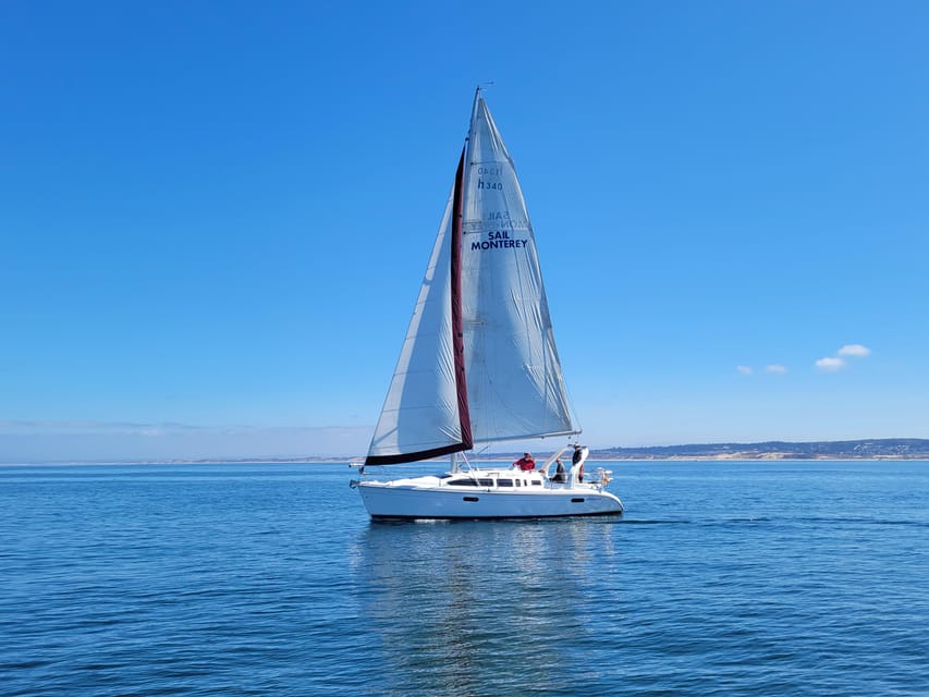 Monterey: Private Whale Watching/Sailing Tour for 6 - An In-Depth Look at the Experience