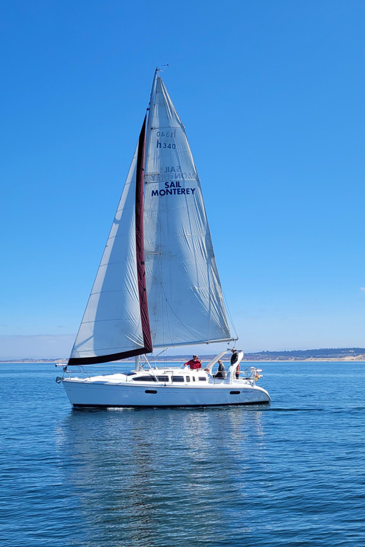 Monterey: Private Whale Watching/Sailing Tour for 6 - Final Thoughts