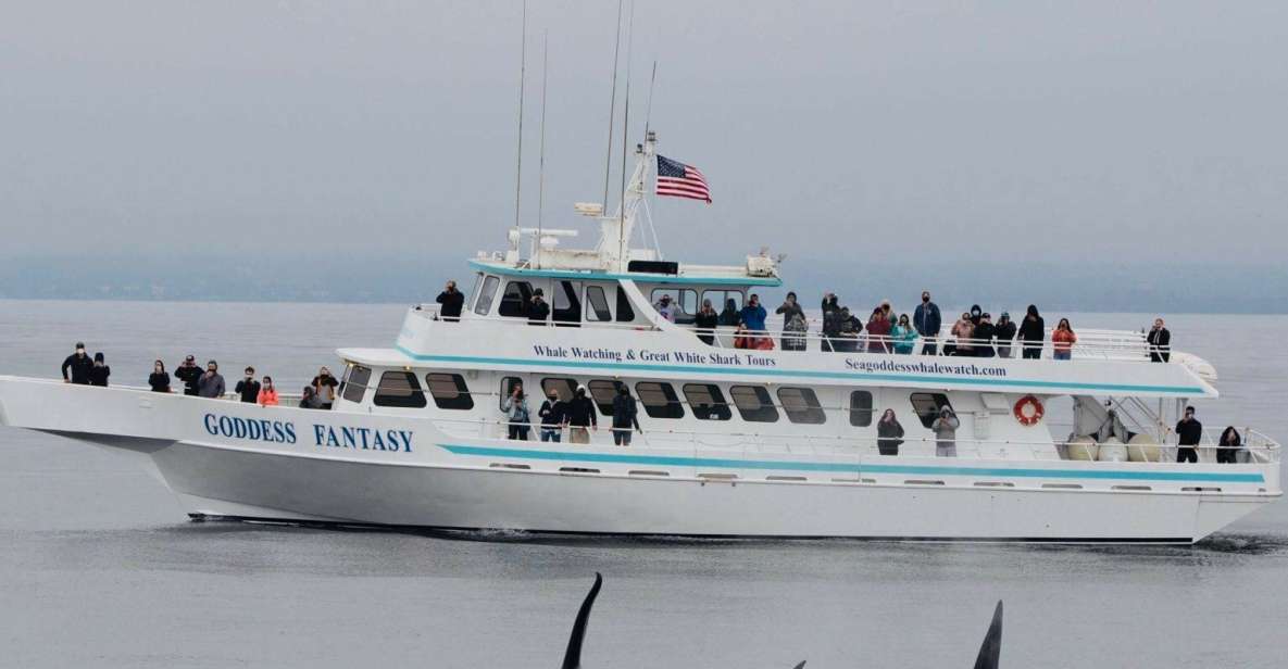 Monterey: Whale Watching Cruise - The Experience of the Boat Ride