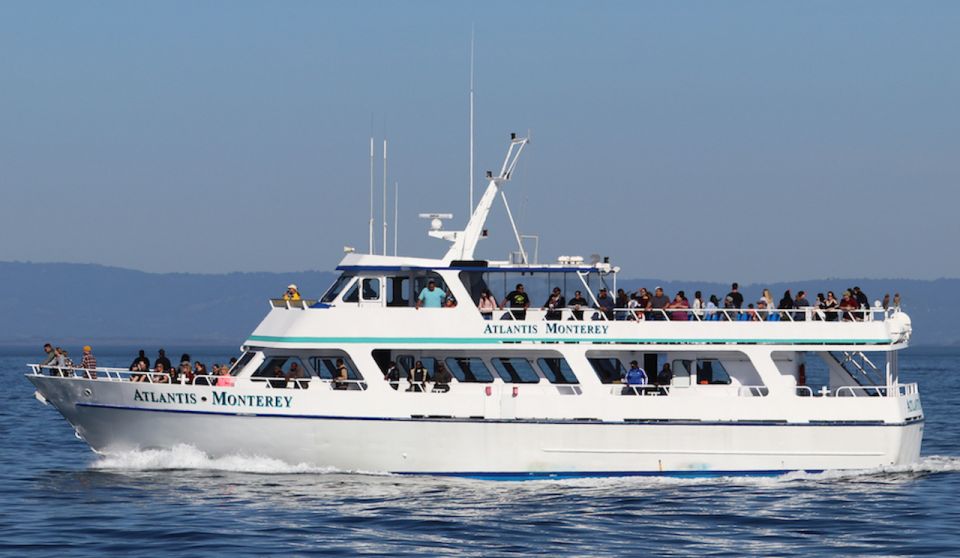 Monterey: Whale Watching Tour with A Marine Guide - FAQ: Your Monterey Whale Watching Questions Answered