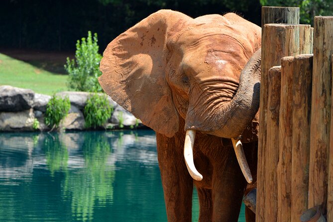 Montgomery City Multi-Attraction Pass - FAQ