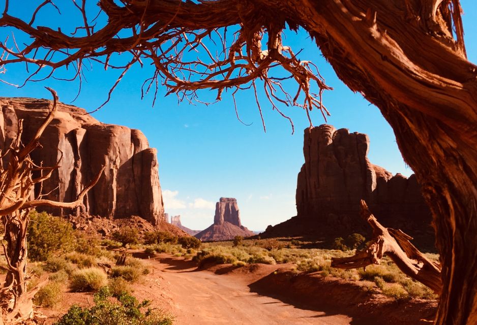 Monument Valley and Mystery Valley Full-Day Tour - What Makes This Tour Stand Out?