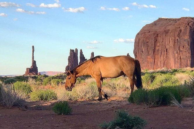 Monument Valley Group Tour - 3 Hours - Navajo Spirit Tours - FAQ
