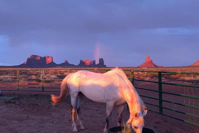 Monument Valley: Horseback Adventure Tour - What to Expect on the Tour
