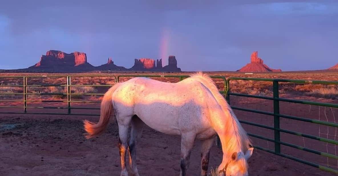 Monument Valley: Horseback Adventure Tour - Additional Tips for a Great Ride