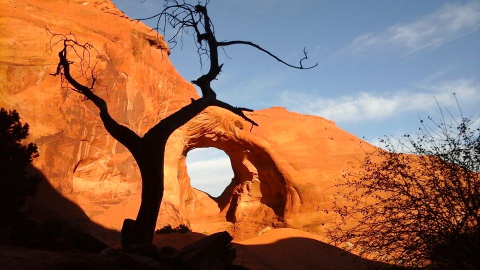 Monument Valley: Scenic 3.5-Hour Cultural Tour - What Makes This Tour Stand Out?