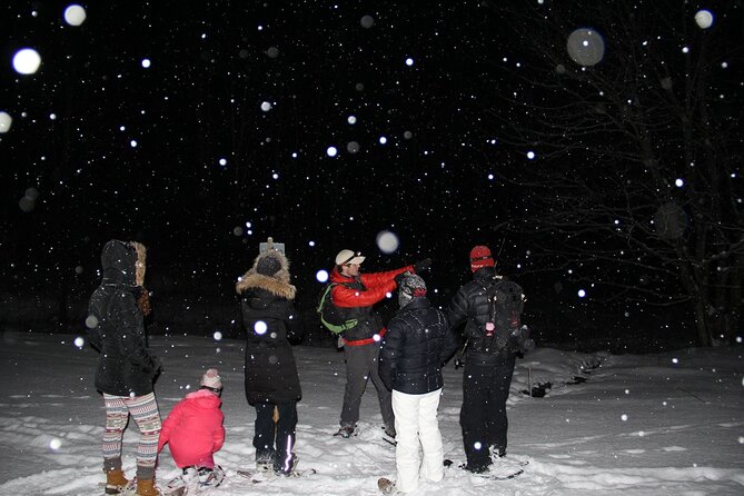 Moonlight Cabin Snowshoe Tour - The Authenticity and Value