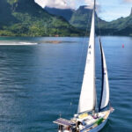 Moorea: Whale watching adventure - Who Is This Tour Best For?