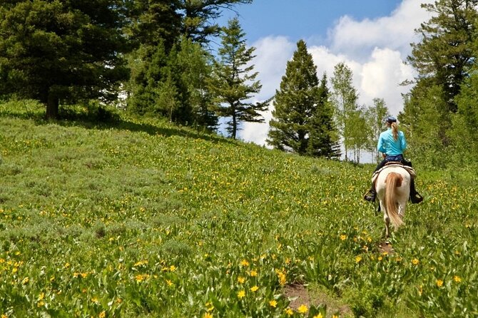 Moose Meadow Breakfast Ride - The Itinerary in Detail