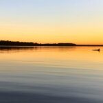 Morning Beaufort River Tour - Detailed Breakdown of the Itinerary and Stops