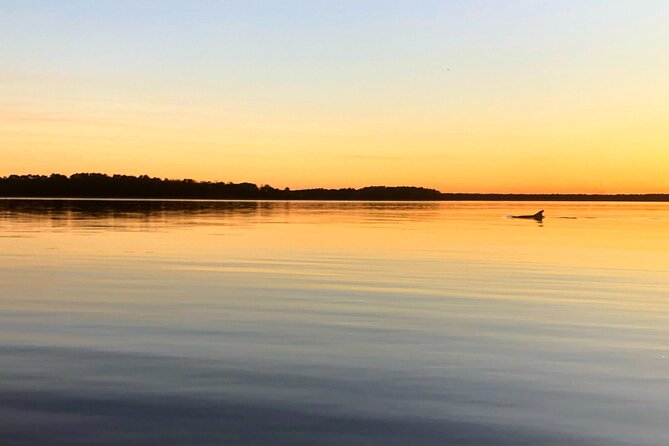 Morning Beaufort River Tour - Detailed Breakdown of the Itinerary and Stops