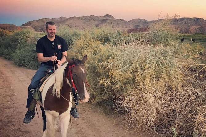 Morning Horseback Ride with Breakfast from Las Vegas - Who Will Love This Experience?