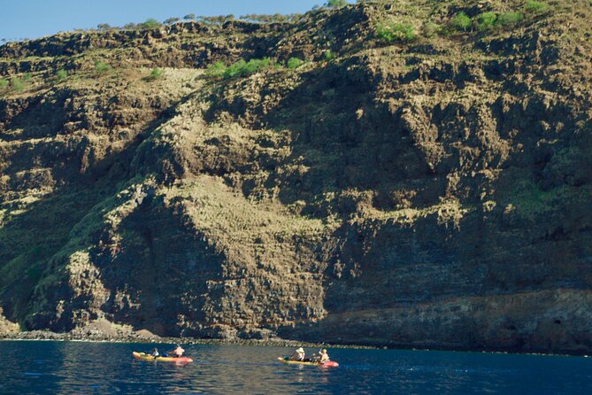 Morning Magic Kayak and Snorkel Adventure in Kealakekua Bay - Practical Details and Considerations
