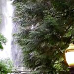 Morning Multnomah Falls and Gorge Waterfalls Tour - Analyzing the Cost and Value