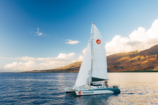 Morning Sail With the Whales Ma'alaea - Key Points