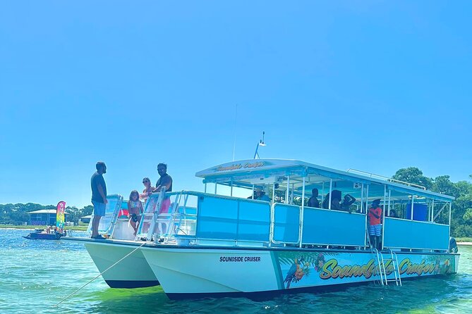 Morning Snorkel & Dolphin Adventure - Key Points