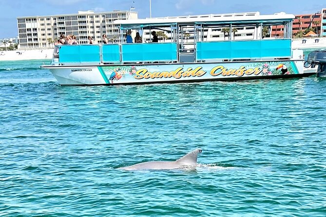Morning Snorkel & Dolphin Adventure - A Deep Dive into the Experience