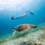 Morning Snorkel & Dolphin Adventure - Who Should Book This Tour?