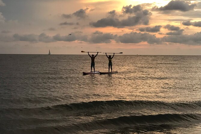 MORNING TOUR PaddleBoard or kayak - Is This Tour Worth Your Money?
