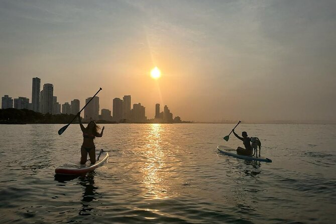 MORNING TOUR PaddleBoard or kayak - The Itinerary and Day-to-Day Breakdown
