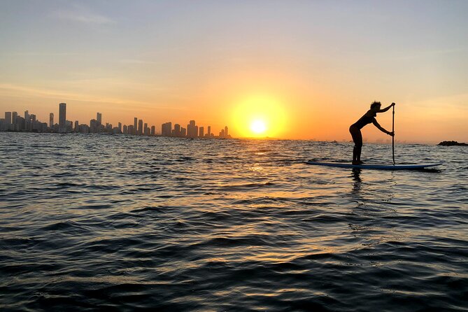 MORNING TOUR PaddleBoard or kayak - FAQ