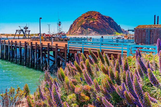 Morro Bay: Private 2 Hour Stroll & Savory Delights Tour - Practical Details & Considerations