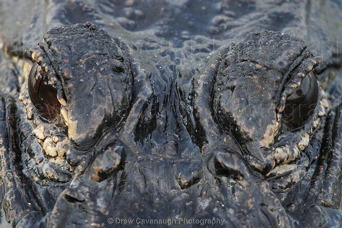 Mosquito Lagoon Sight Fishing Charters Near Orlando Florida - An Authentic Florida Saltwater Fishing Experience