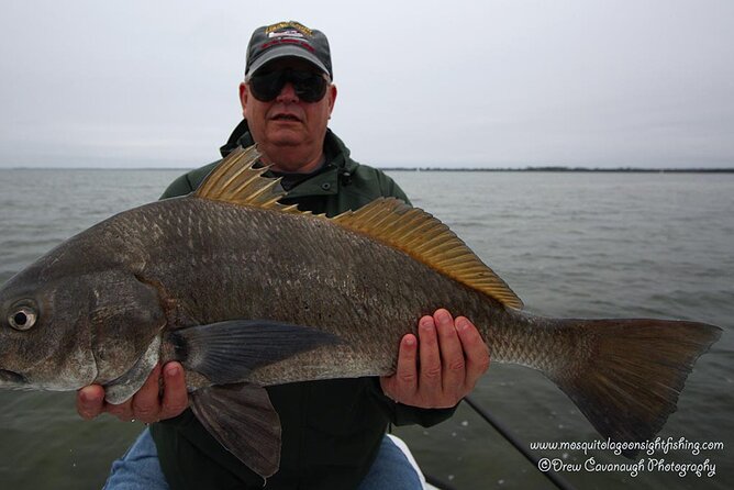 Mosquito Lagoon Sight Fishing Charters Near Orlando Florida - Final Thoughts: Is It Worth It?