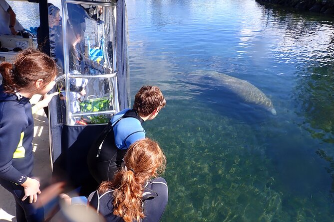 Most Popular 3hr Manatee Swim Tour + In-Water Guide! - Practical Info & Tips for Future Swimmers
