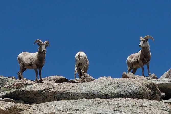 Mount Blue Sky 14,265ft Summit and Glacial Lakes - An In-Depth Look at the Tour Experience