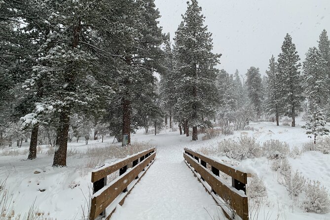 Mount Charleston Tour - The Itinerary: What to Expect