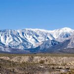 Mount Charleston Tour - What’s Included and What to Budget For