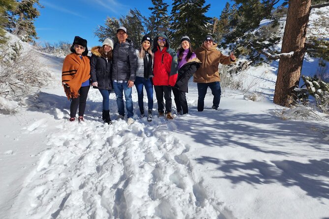 Mount Charleston Tour - Authentic Insights from Reviewers