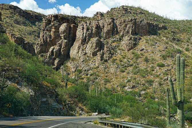 Mount Lemmon Self-Guided Driving Audio Tour - Who Should Consider This Tour?