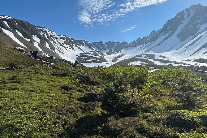 Mount Marathon Bowl Guided Hiking Tour - Discovering Seward on Foot: An In-Depth Look at the Mount Marathon Bowl Guided Hike