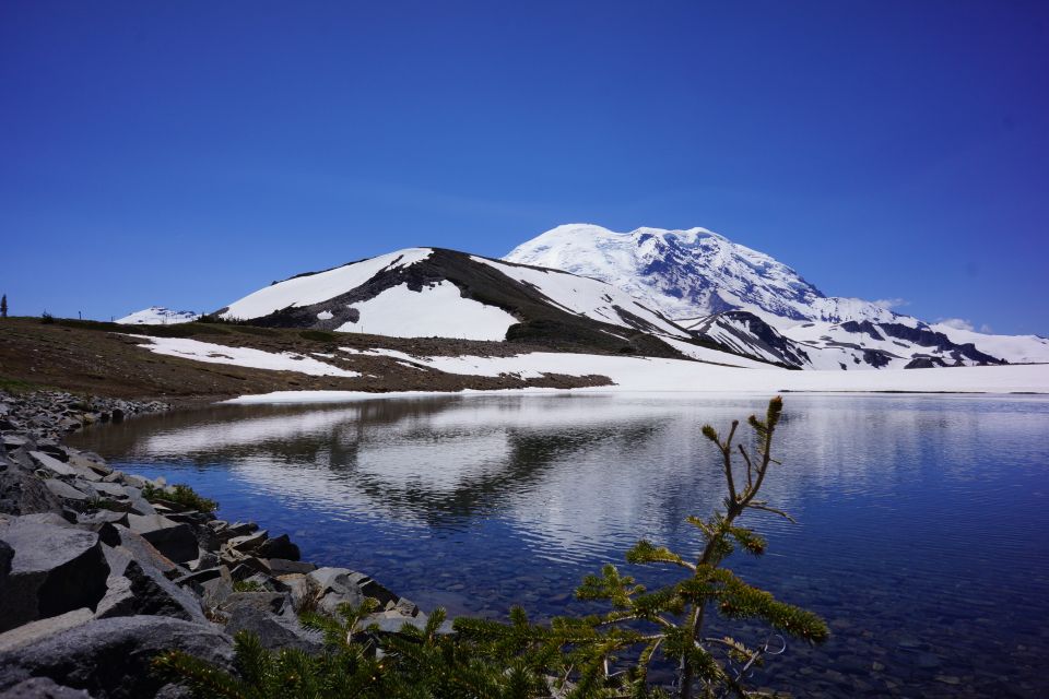 Mount Rainier: Day Hike on the Mountain - What’s Included and What to Bring