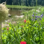 Mount Rainier Full Day Private Tour and Hike - Final Thoughts